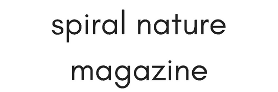 Nature Magazine Logo